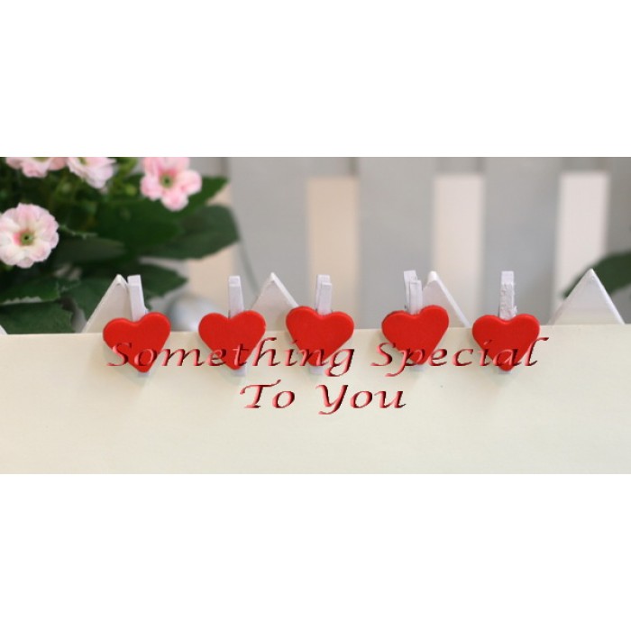 Heart Shaped Clips - as low as RM0.40/pc