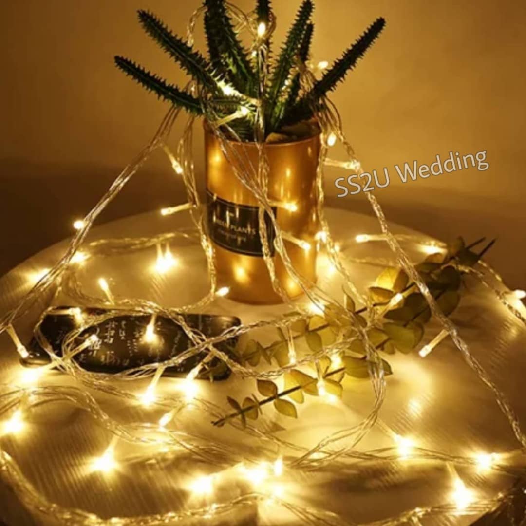 10Meter Led Light (With 2-Pin Socket)