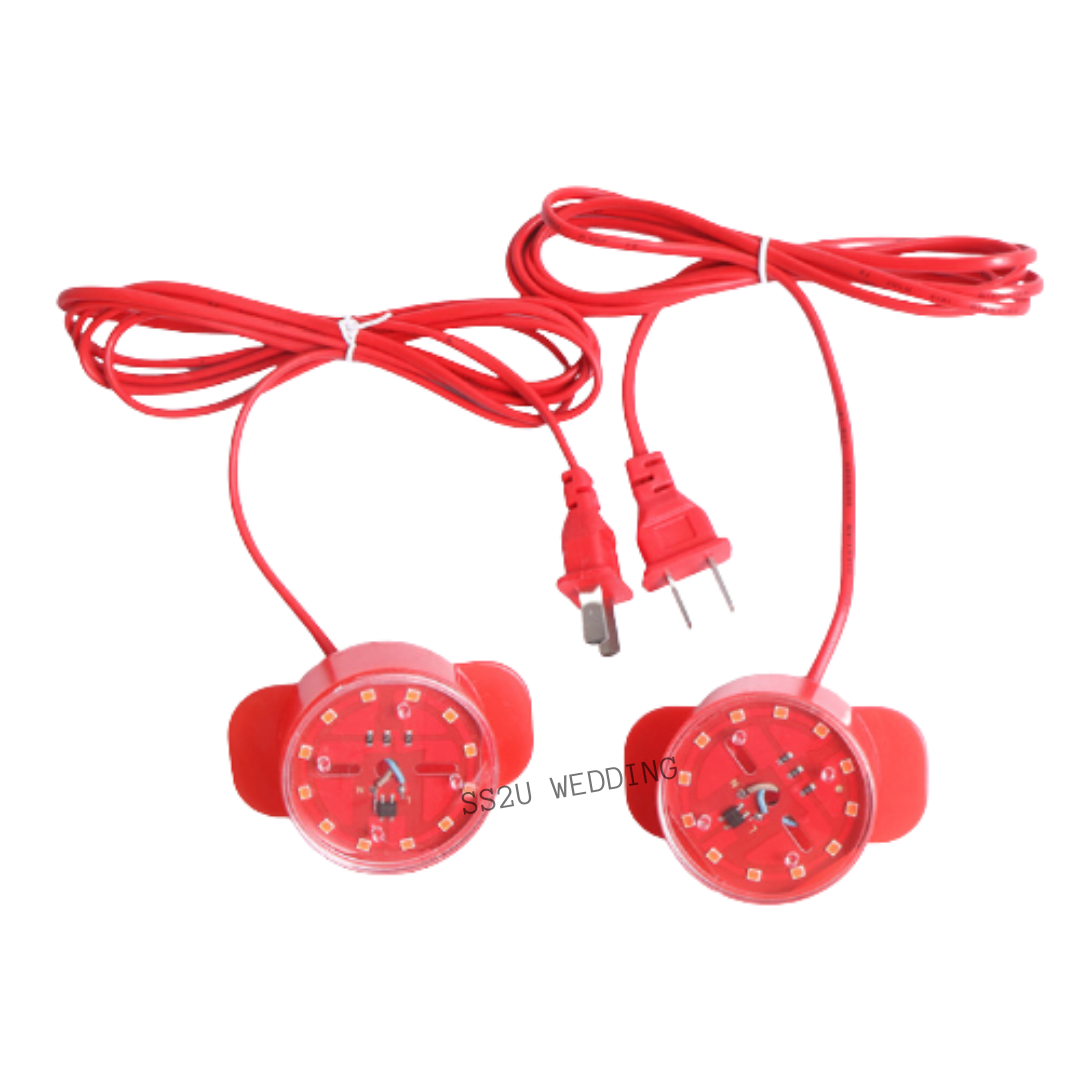 (2 Pieces) Led Light (For Lantern)